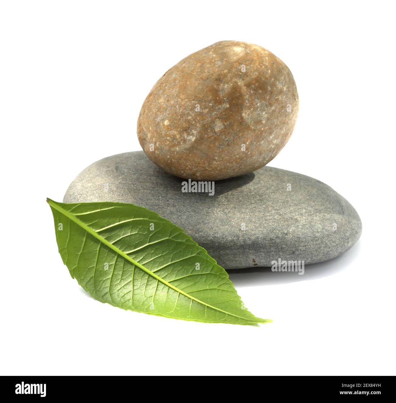 Stones with leaf Stock Photo - Alamy