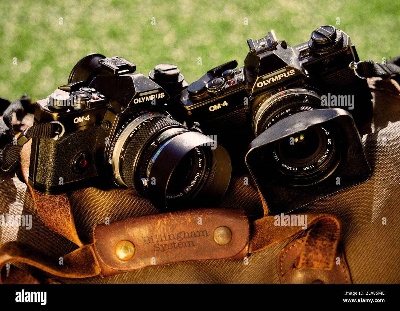 Two Olympus 35 mm film single lens reflex cameras sitting on a ...