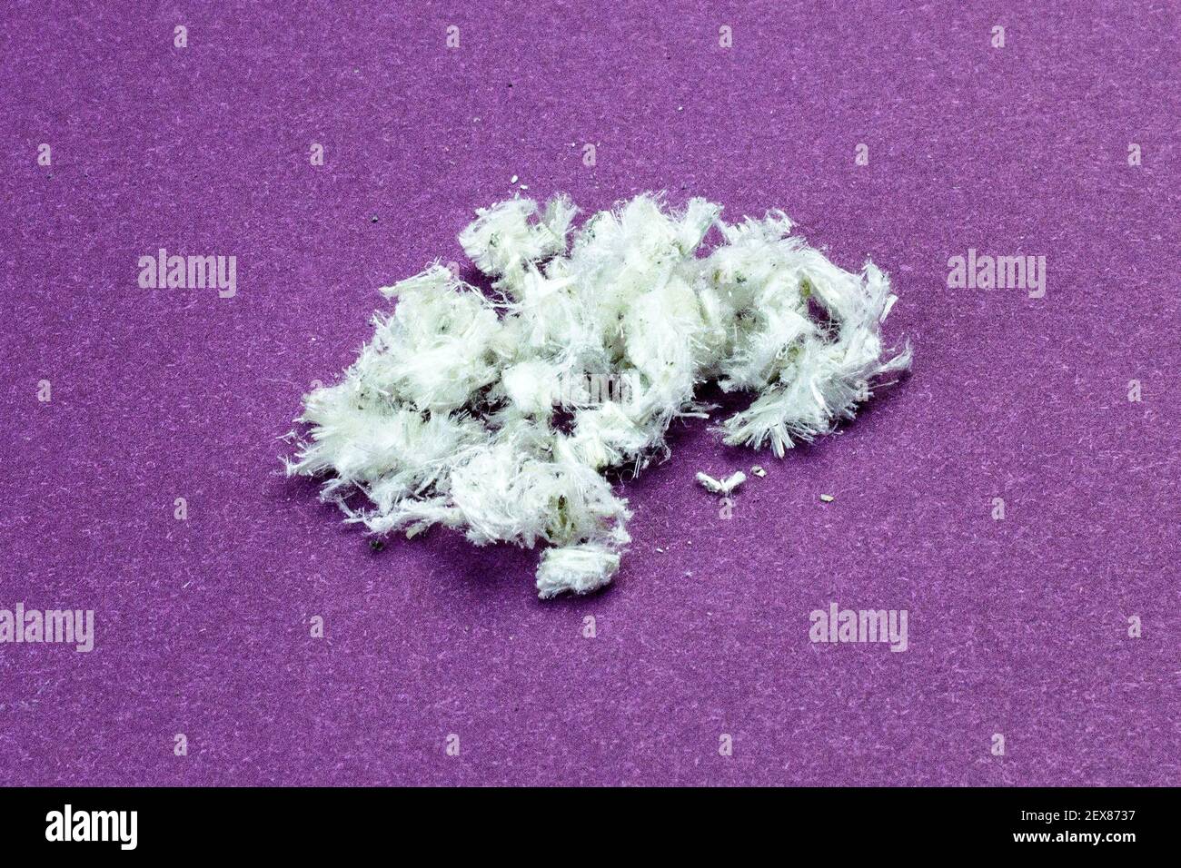 Hazardous mineral asbestos close-up on a fiolet background Stock Photo ...