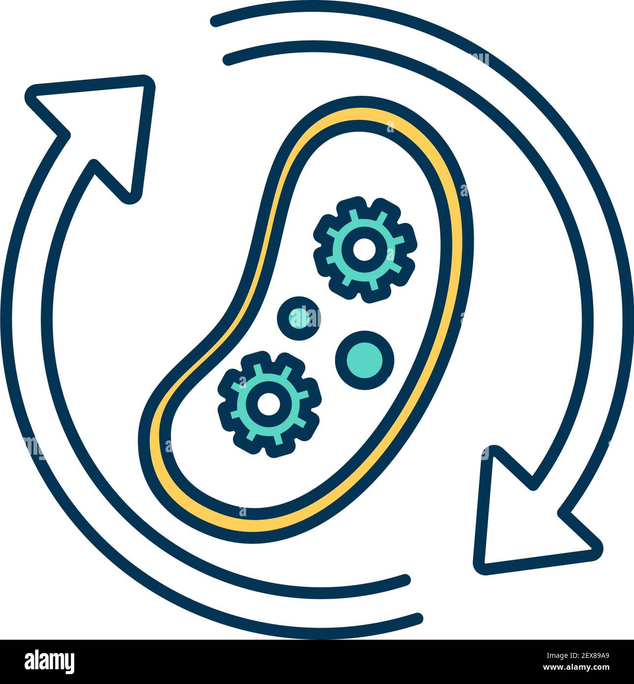 Biological process RGB color icon Stock Vector Image & Art - Alamy Biological process RGB color icon Stock Vector Image & Art - Alamy