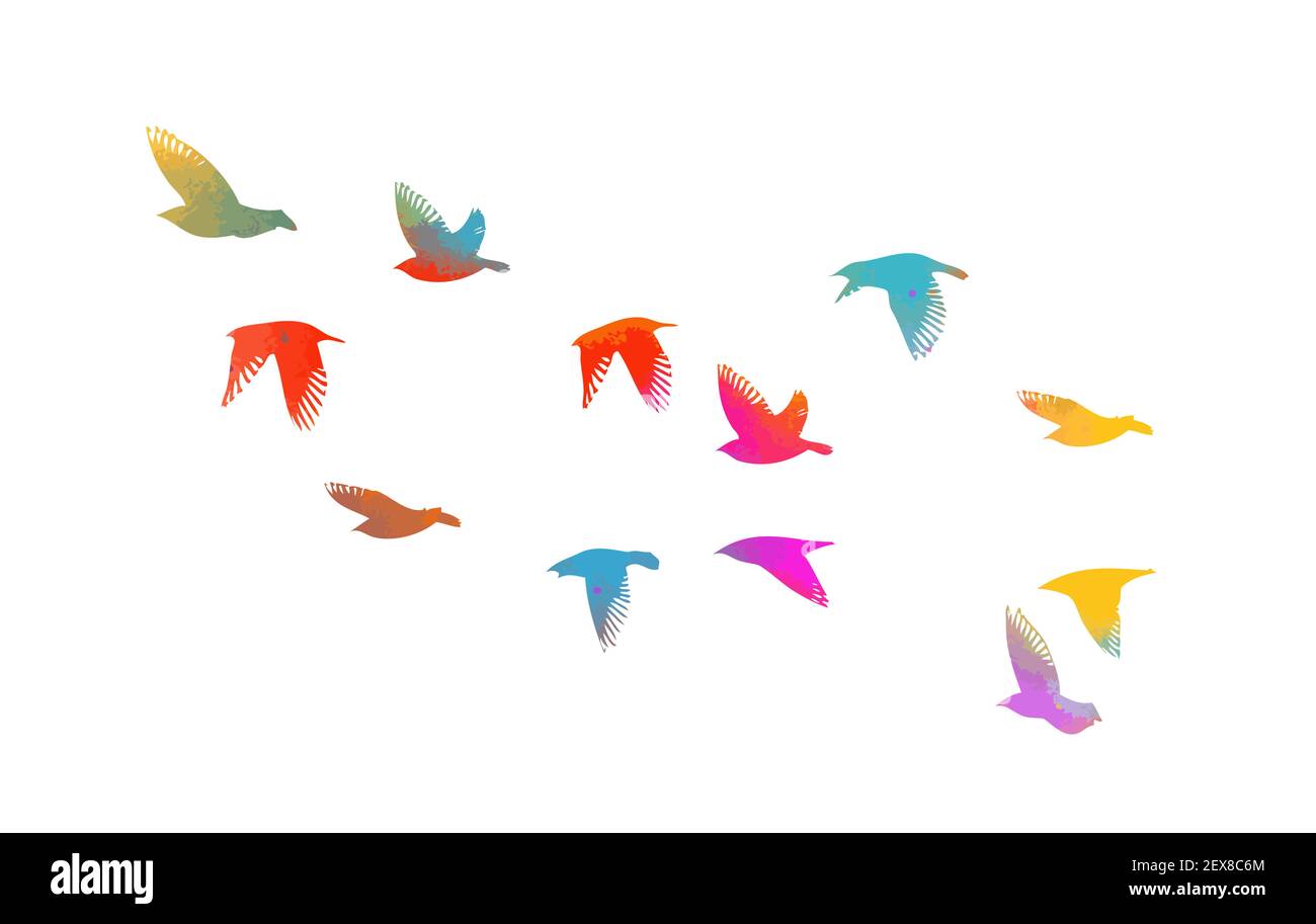 Bird watercolor. A flock of colorful birds. Vector Stock Vector Image ...