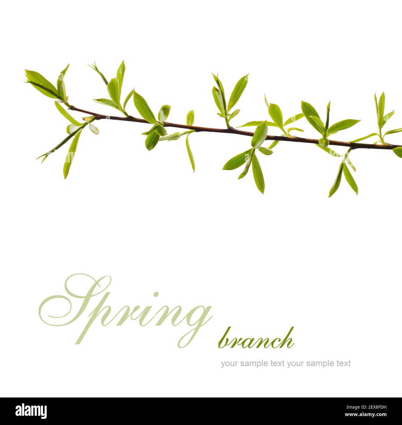 Sign of spring Cut Out Stock Images & Pictures - Alamy