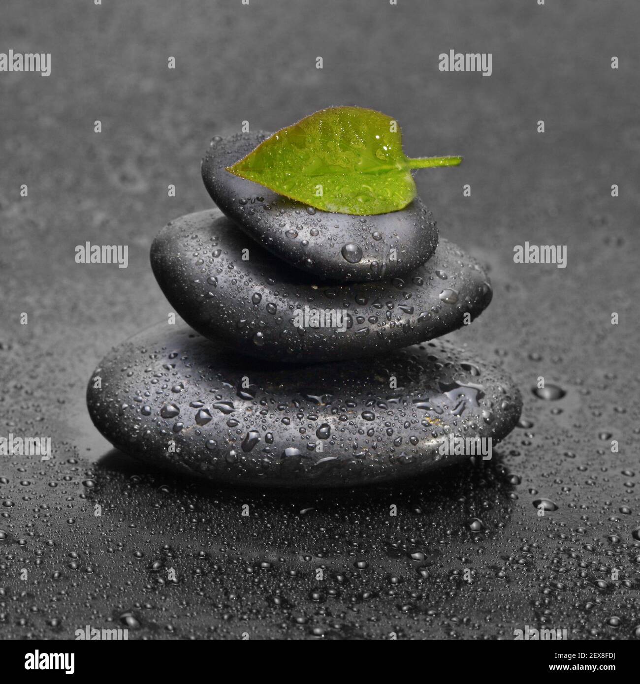 Black stone with leaf Stock Photo - Alamy