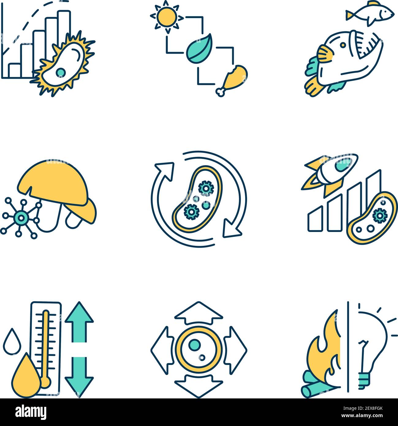 Food transformation process hi-res stock photography and images - Alamy