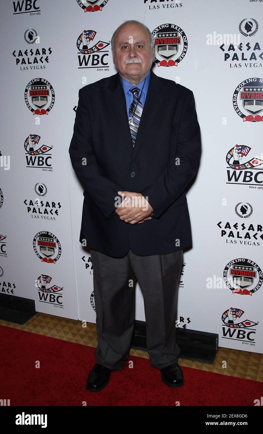 08 August 2015 - Las Vegas, Nevada - Lee Samuels. 2015 Nevada Boxing ...