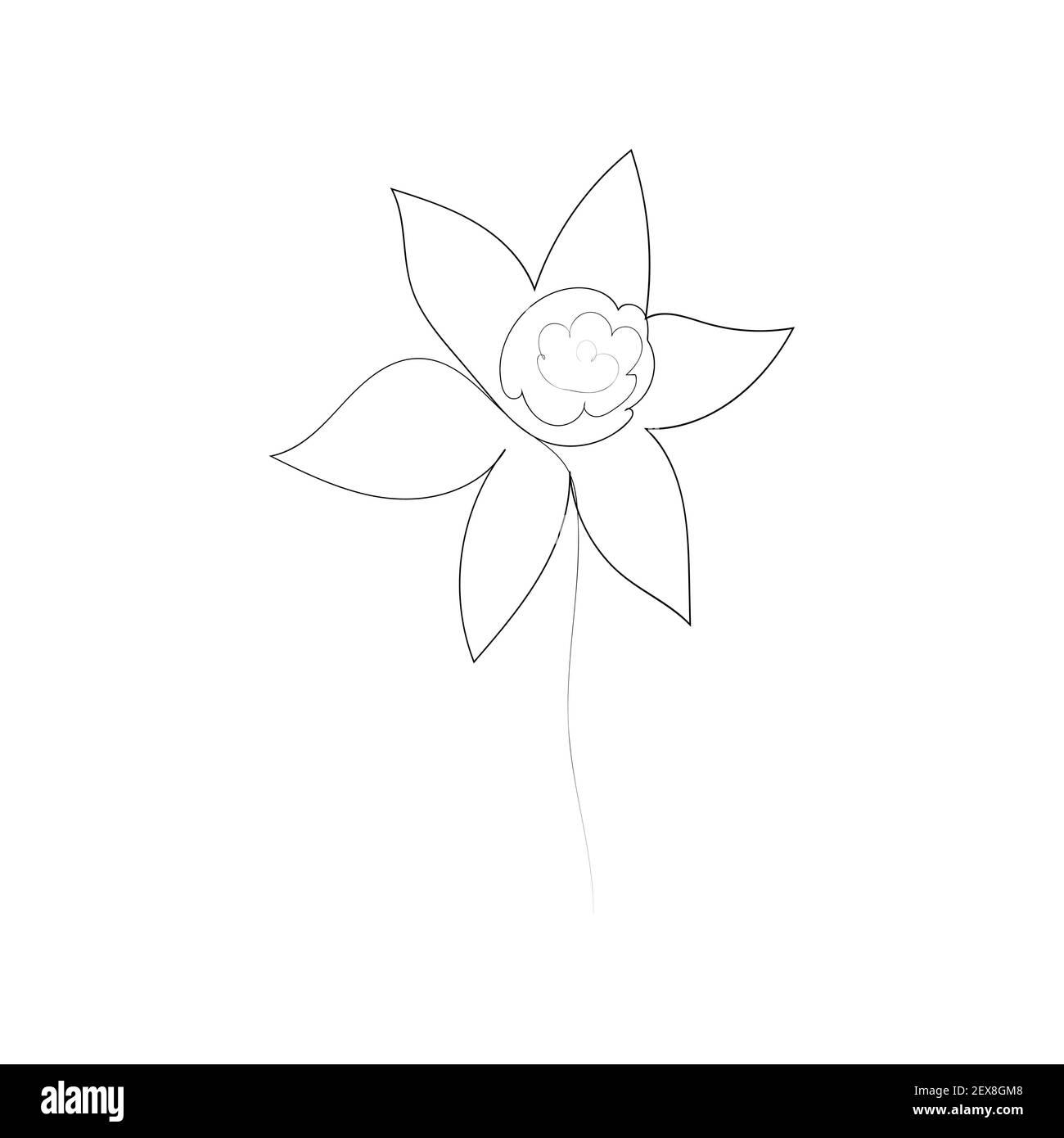 continuous line drawing of beautiful flower Narcissus Stock Vector ...