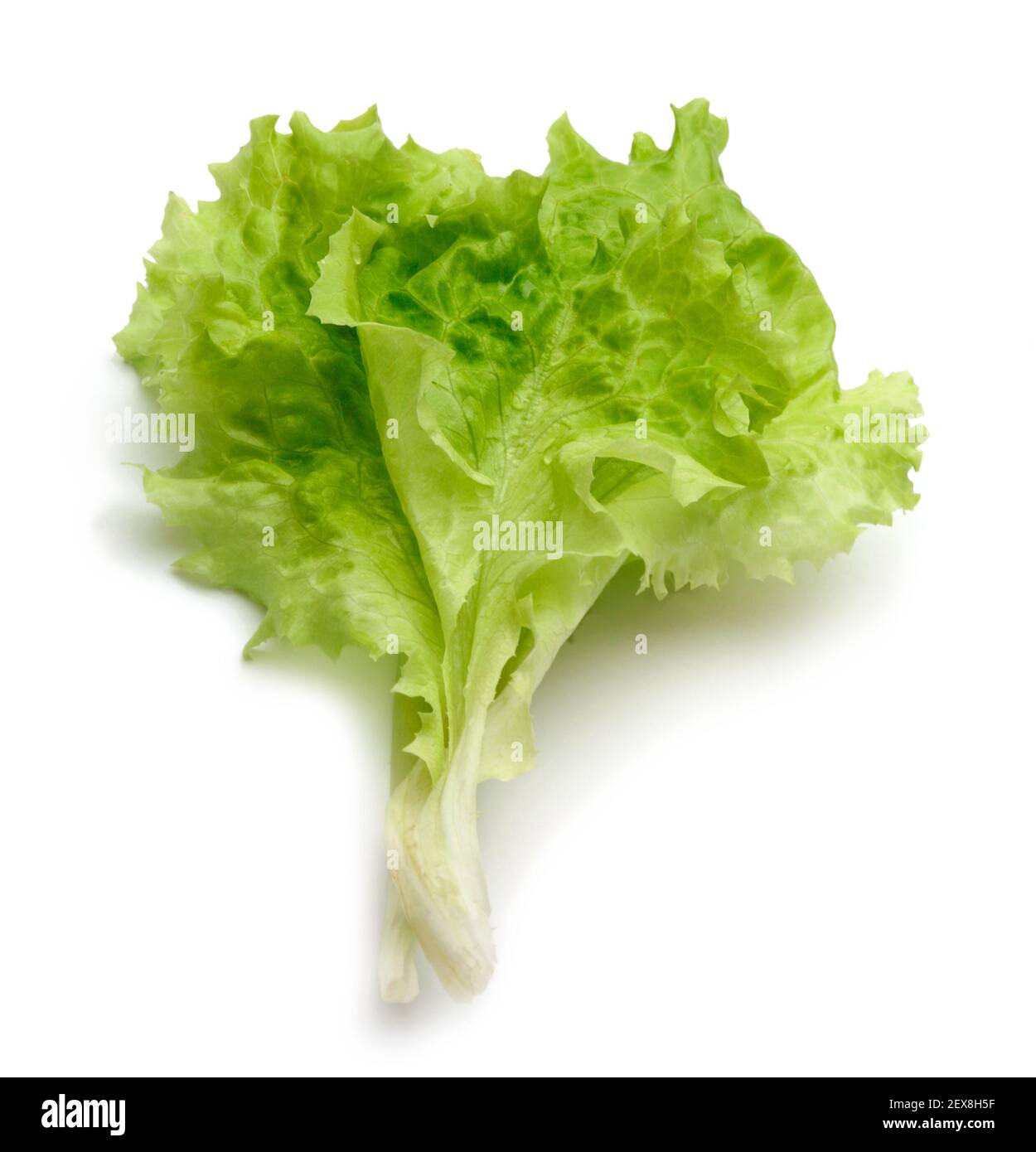 Fresh salad eating Cut Out Stock Images & Pictures - Alamy