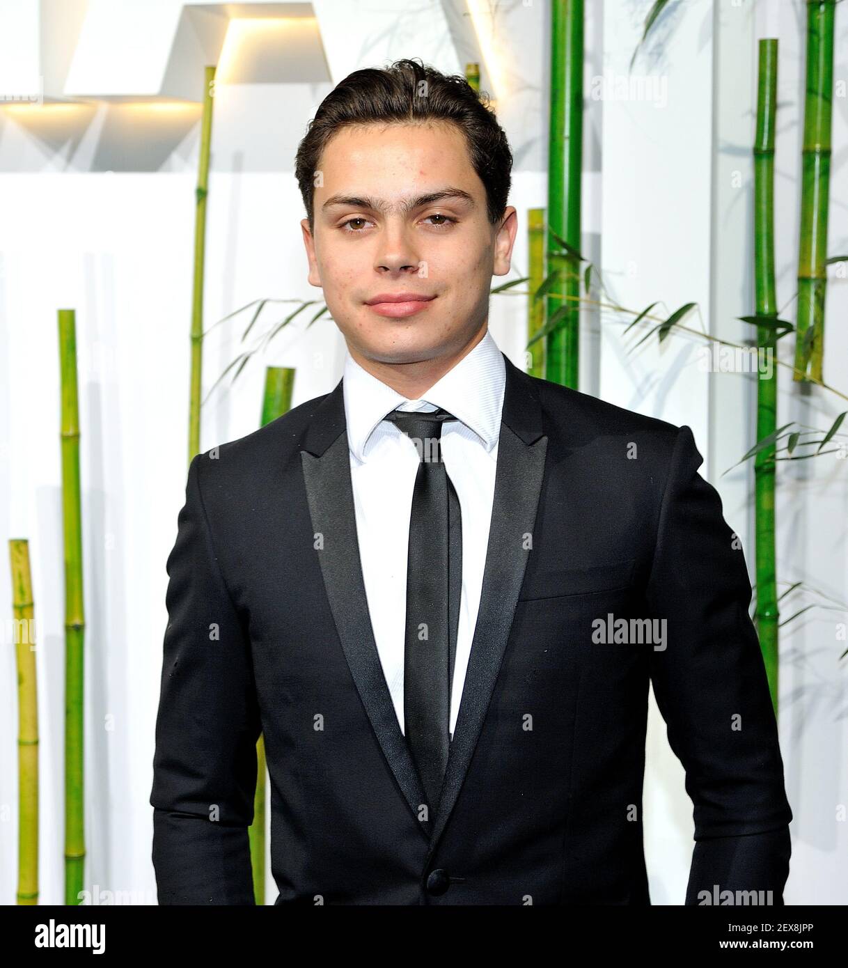 Actor Jake T. Austin attends The Museum of Modern Art Party In The ...