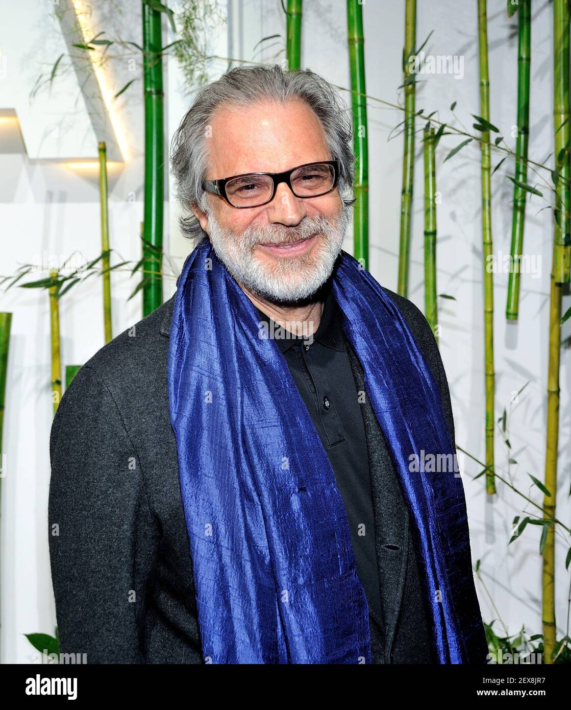 Artist Clifford Ross attends The Museum of Modern Art Party In The ...