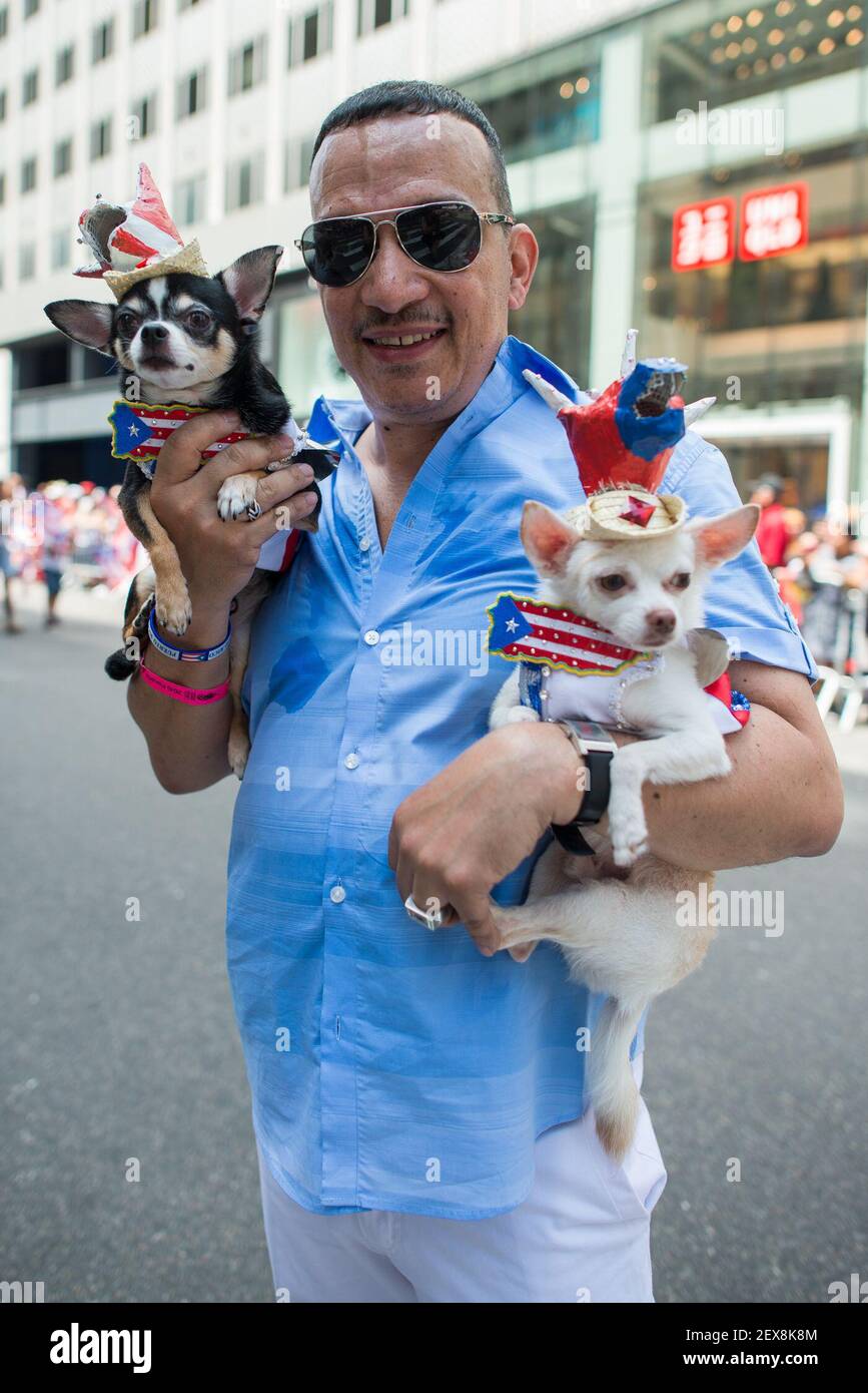 A parade-goer holds his dressed-up dogs during the 58th Annual National ...