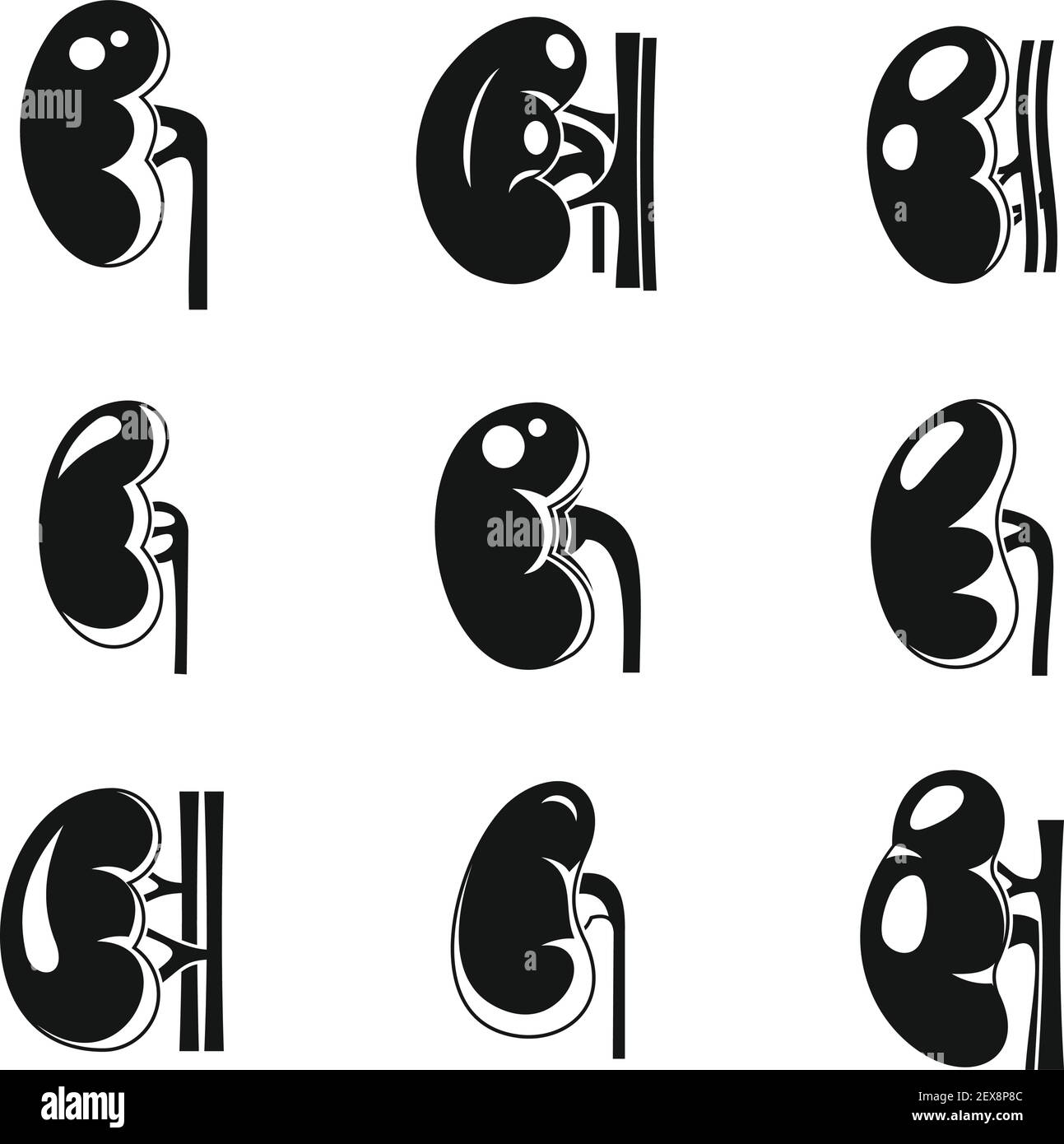 Human kidney Stock Vector Images - Alamy
