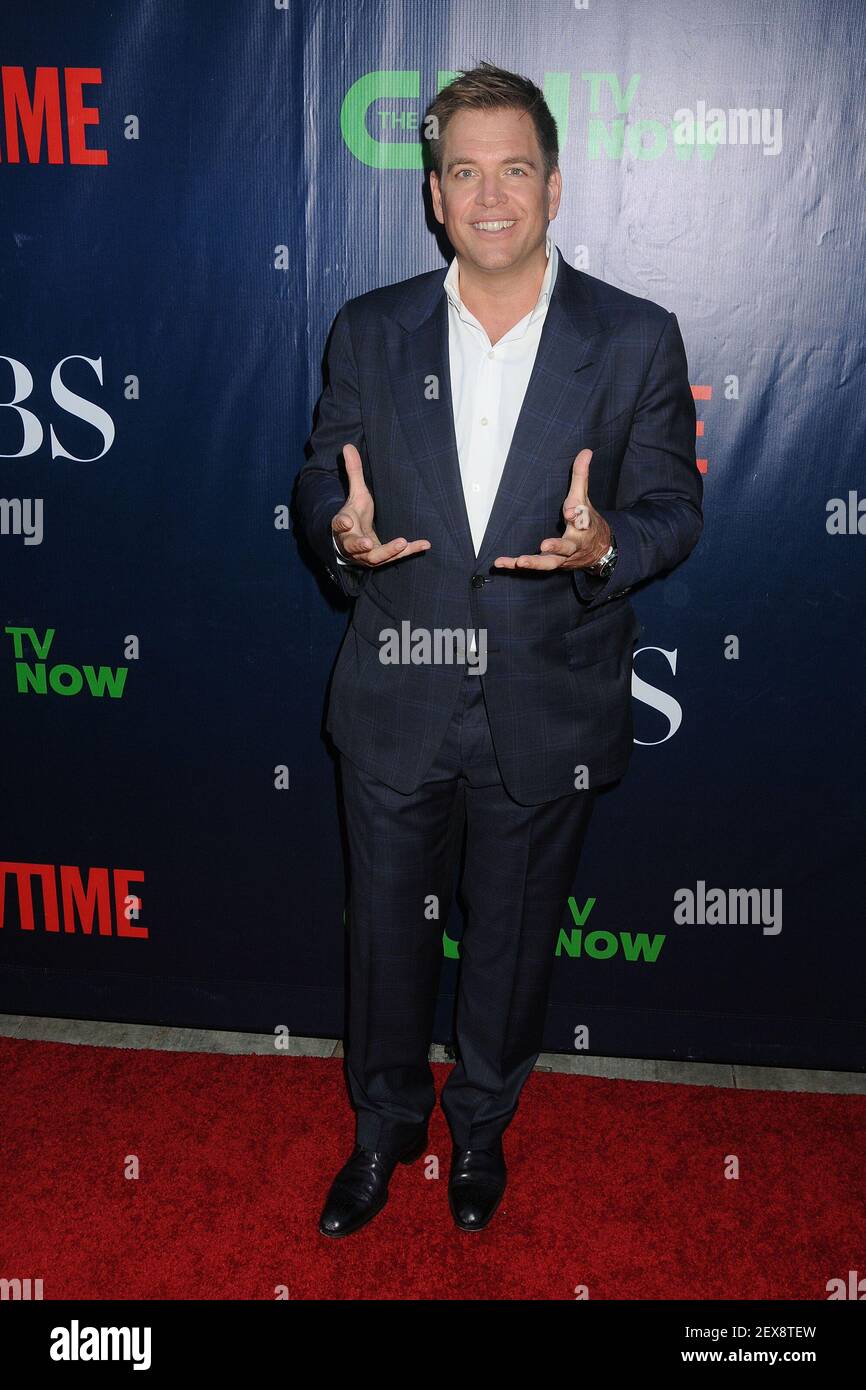 10 August 2015 - West Hollywood, California - Michael Weatherly. CBS ...