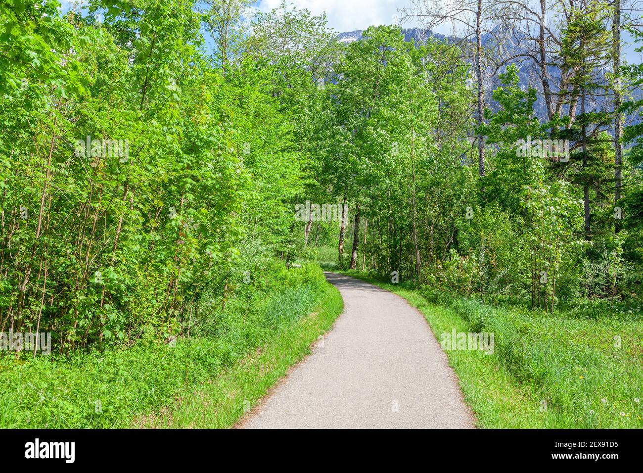 Self isolation in nature hi-res stock photography and images - Alamy
