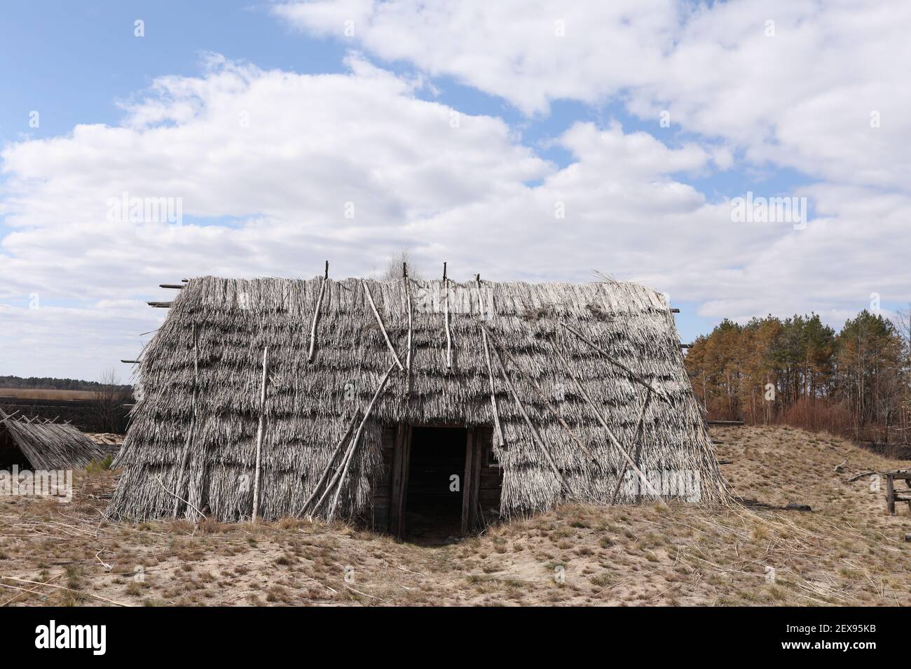Traditional house made from grass hi-res stock photography and images ...