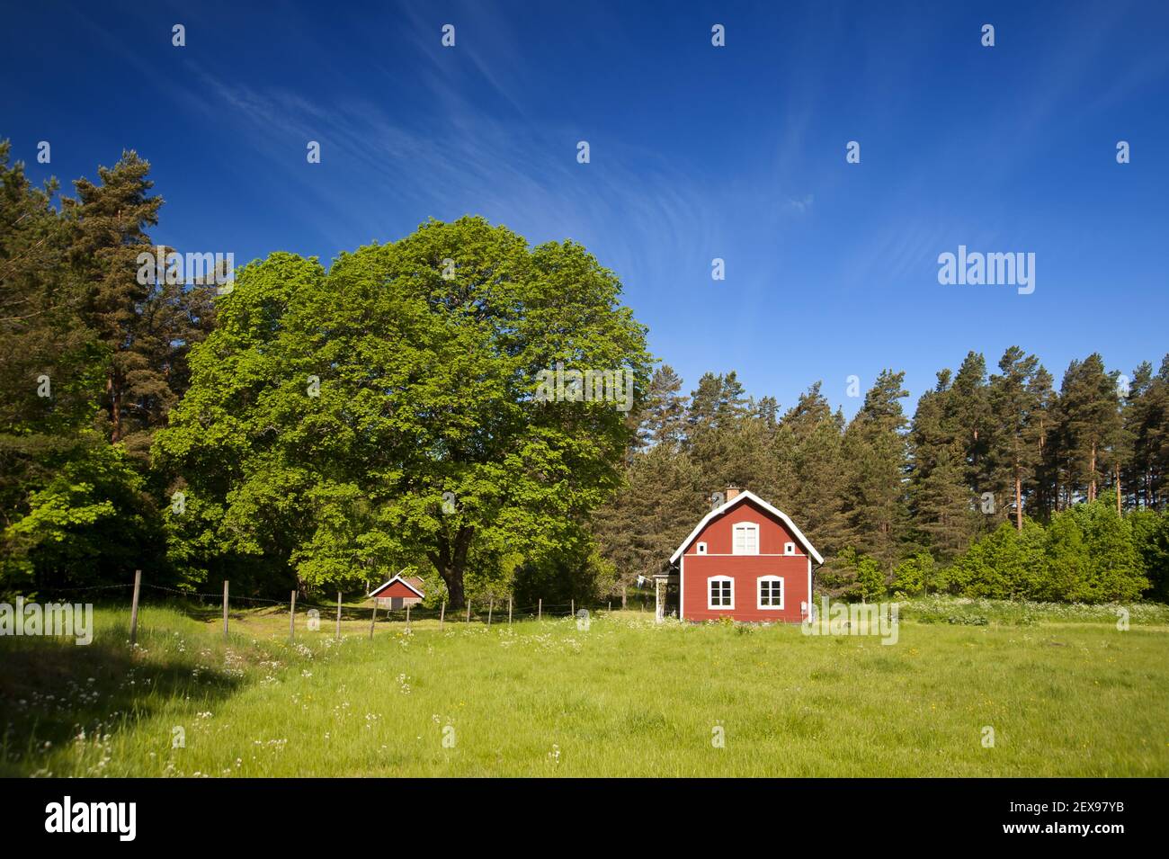 Quiet swedish nature hi-res stock photography and images - Alamy