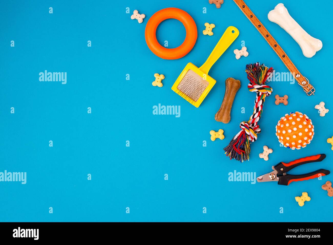 Set of accessories for the dog on blue background. Yellow bowl, collar ...