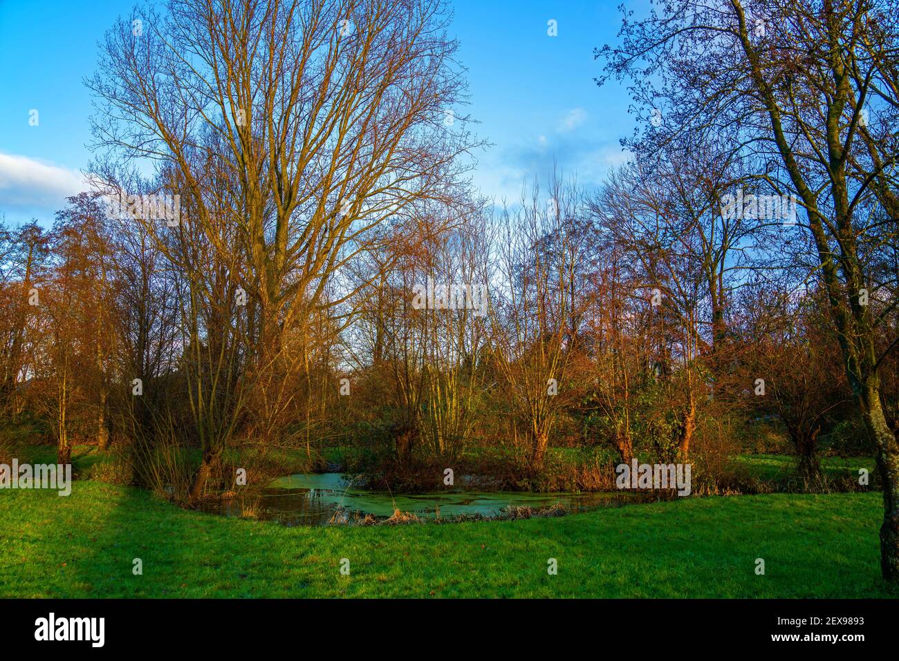 Setting scene environment hi-res stock photography and images - Alamy