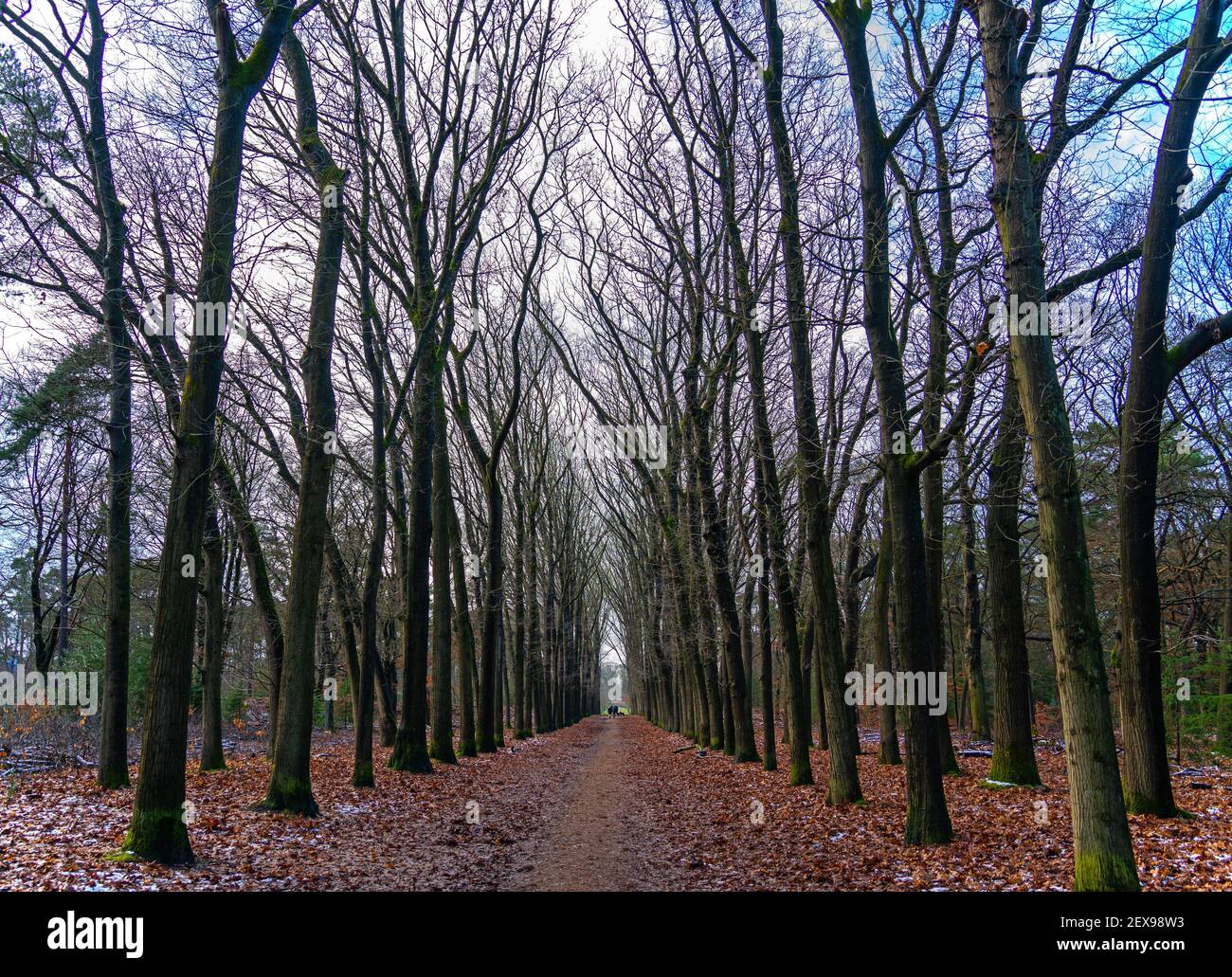 Very little snow hi-res stock photography and images - Alamy