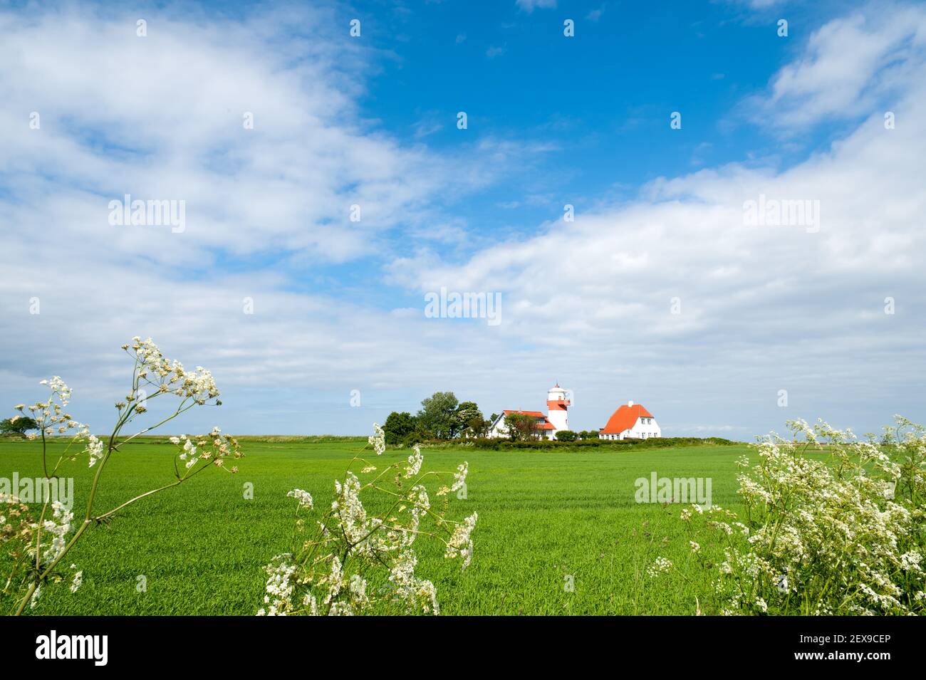 Langeland belt hi-res stock photography and images - Alamy