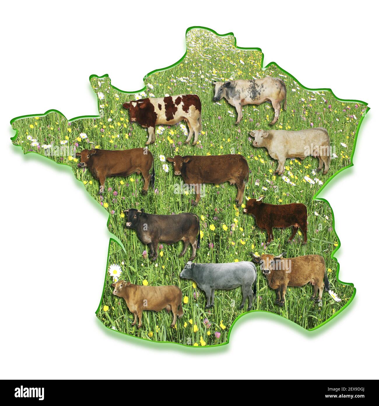 Horn france Cut Out Stock Images & Pictures - Alamy