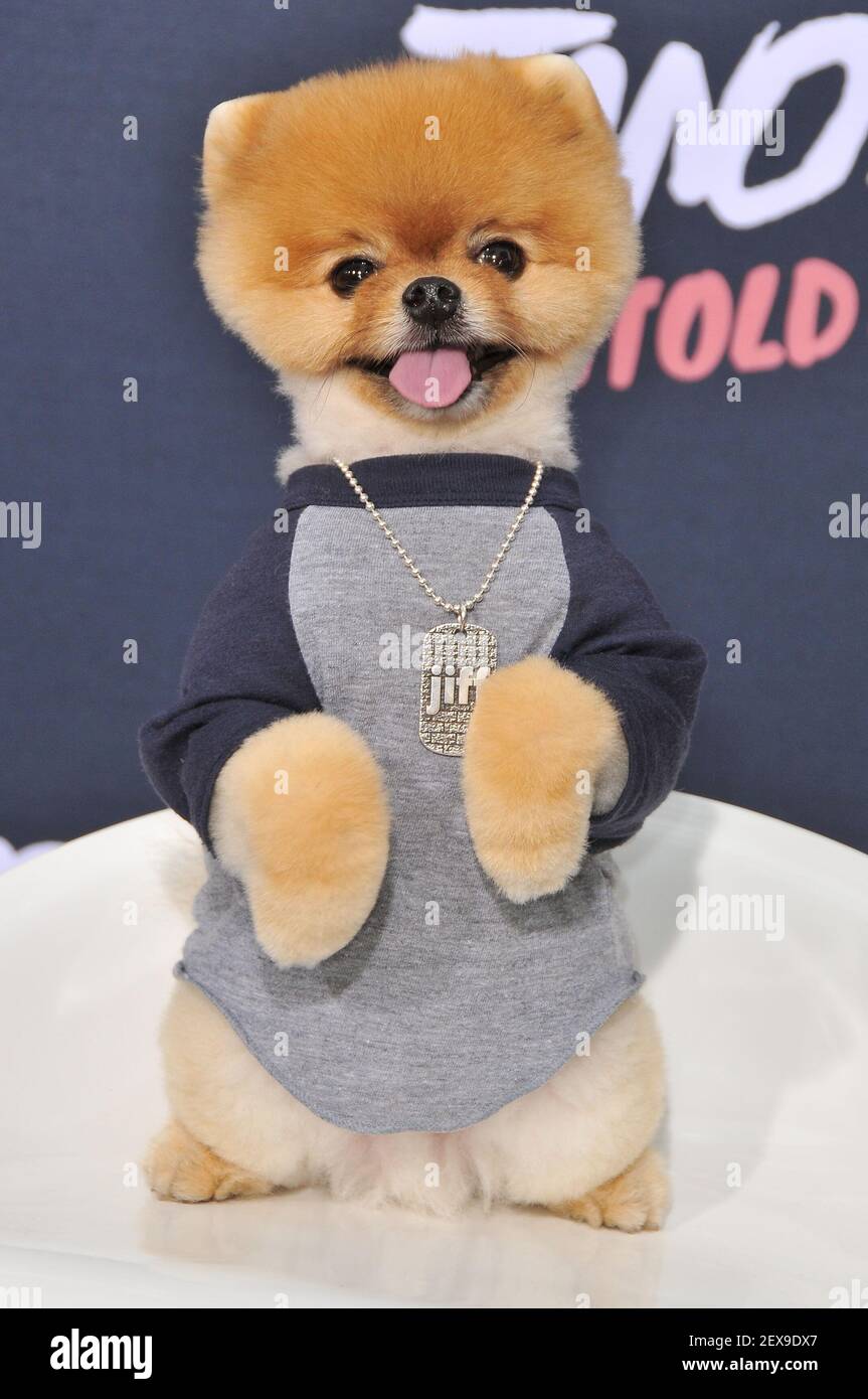 Jiff arrives at the "Janoskians: Untold And Untrue" Los Angeles ...