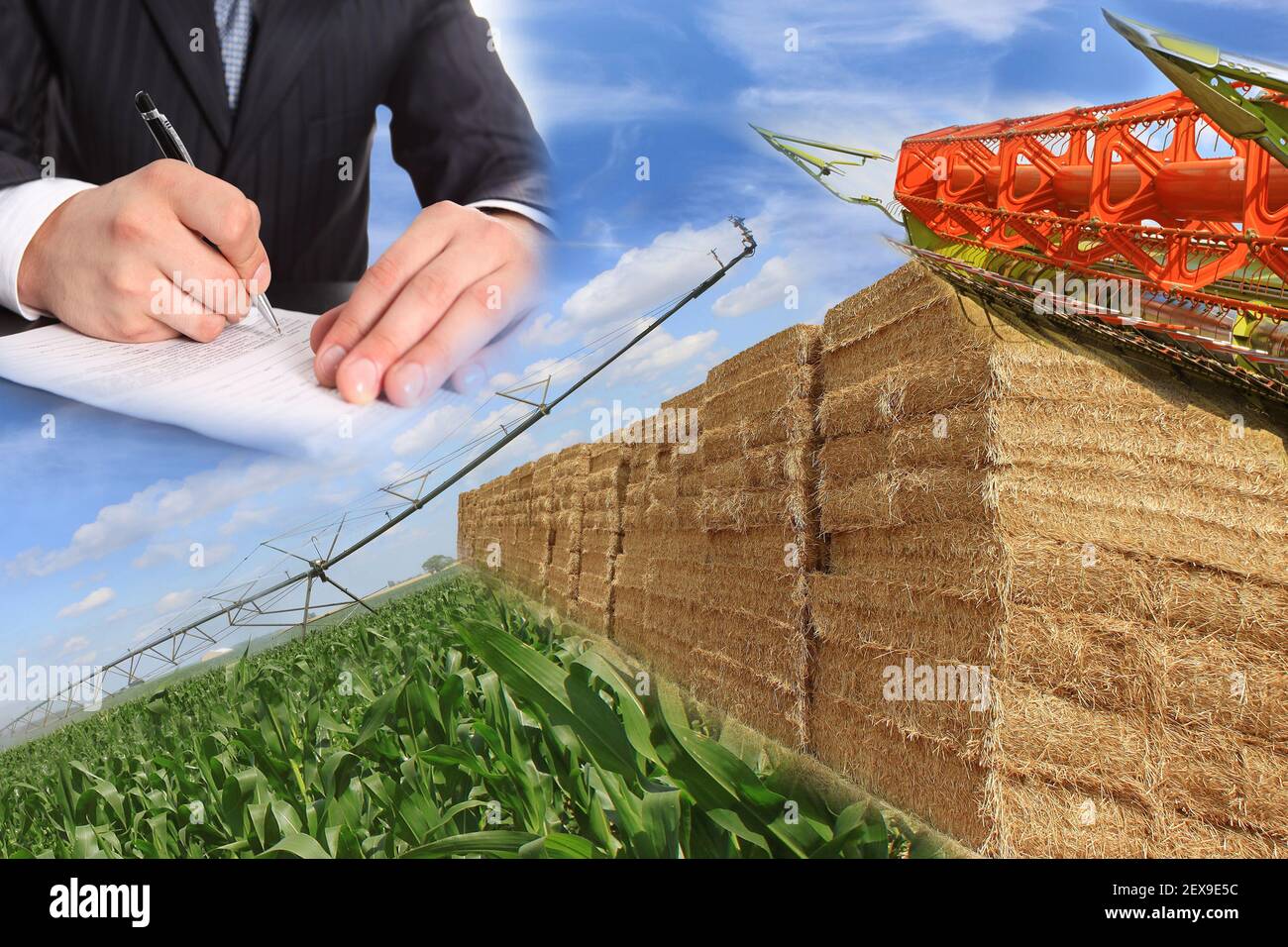 Layout for agriculture Stock Photo - Alamy