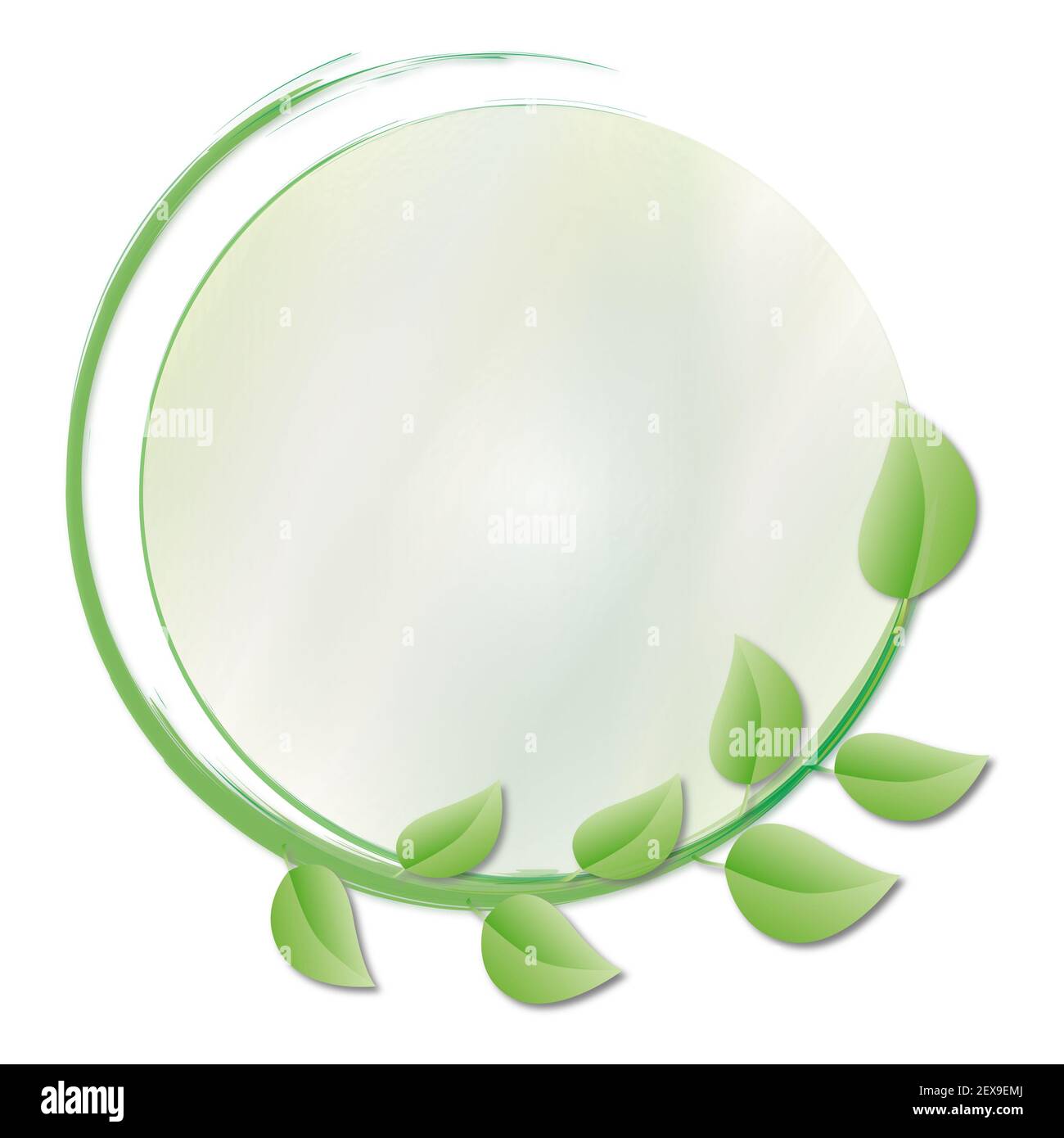 Circle of green leaves Stock Photo - Alamy