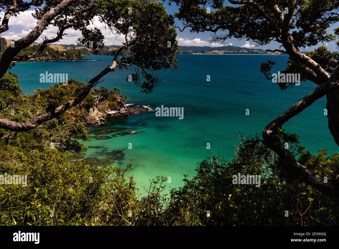 The beautiful Bay of Islands in New Zealand during daylight Stock Photo ...