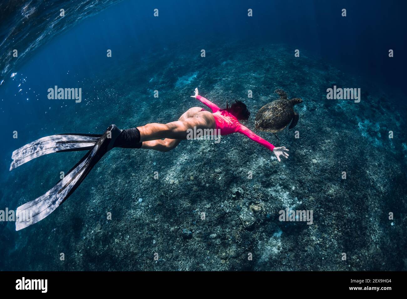 Freediver woman glides underwater with turtle in ocean. Snorkeling with ...