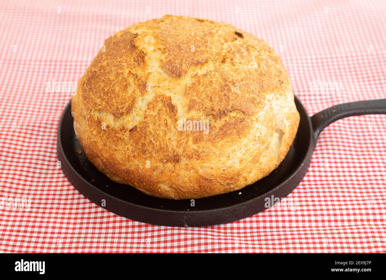 Fresh crusty cob wholemeal loaf cooked in a dutch oven Stock Photo - Alamy