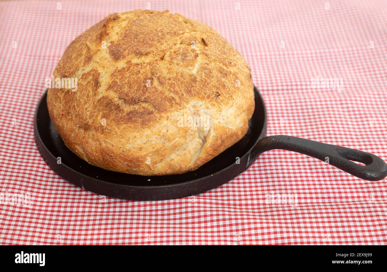 Fresh crusty cob wholemeal loaf cooked in a dutch oven Stock Photo - Alamy