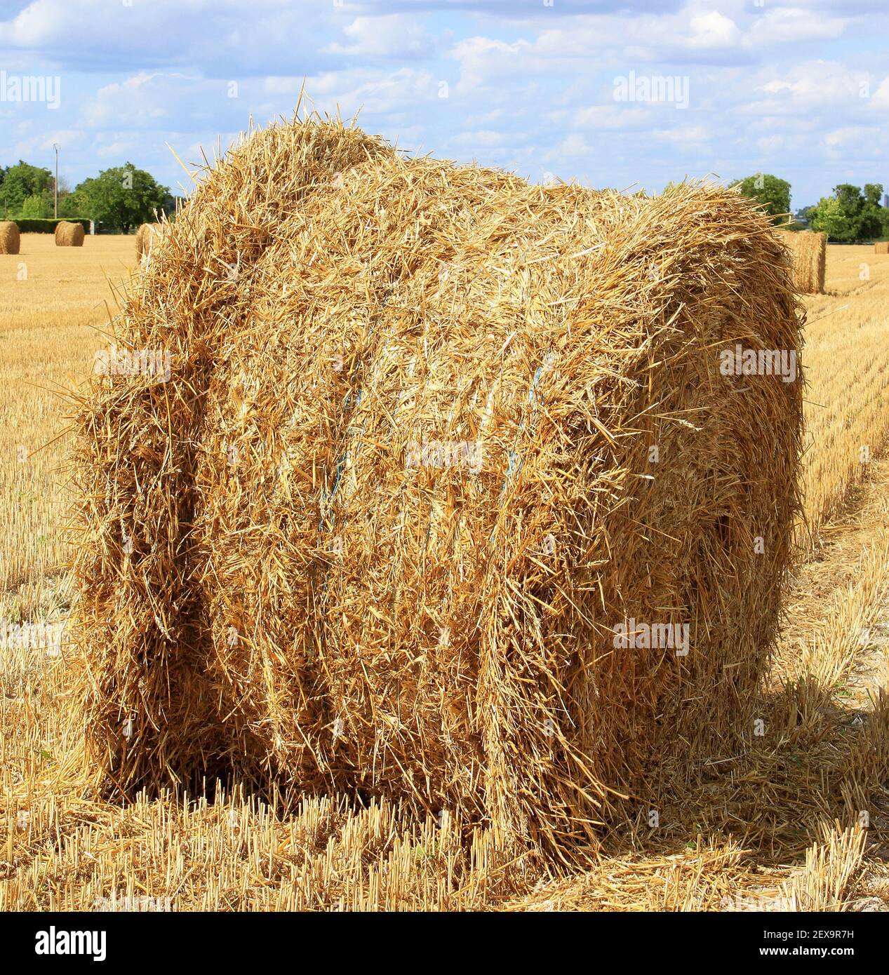 Farmer puts boots hi-res stock photography and images - Alamy