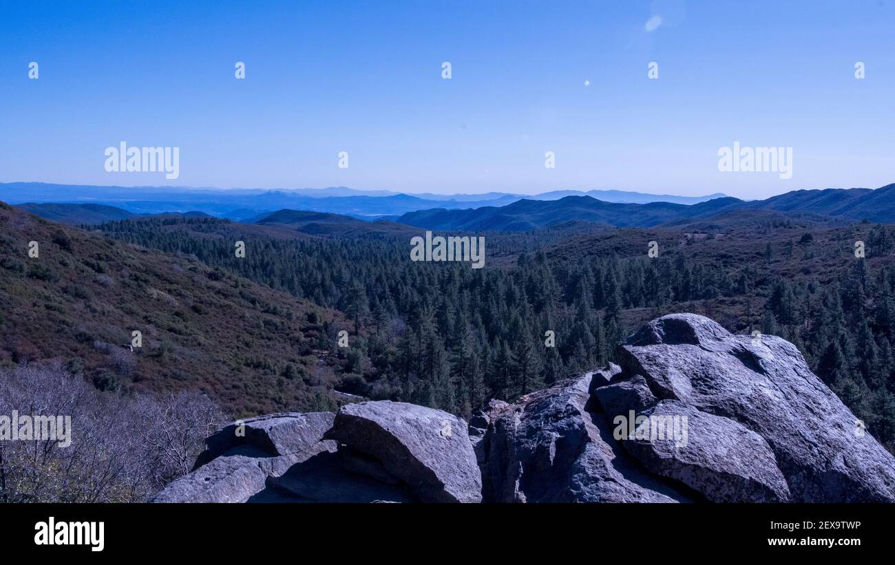 A beautiful landscape with evergreen spruce trees Stock Photo - Alamy