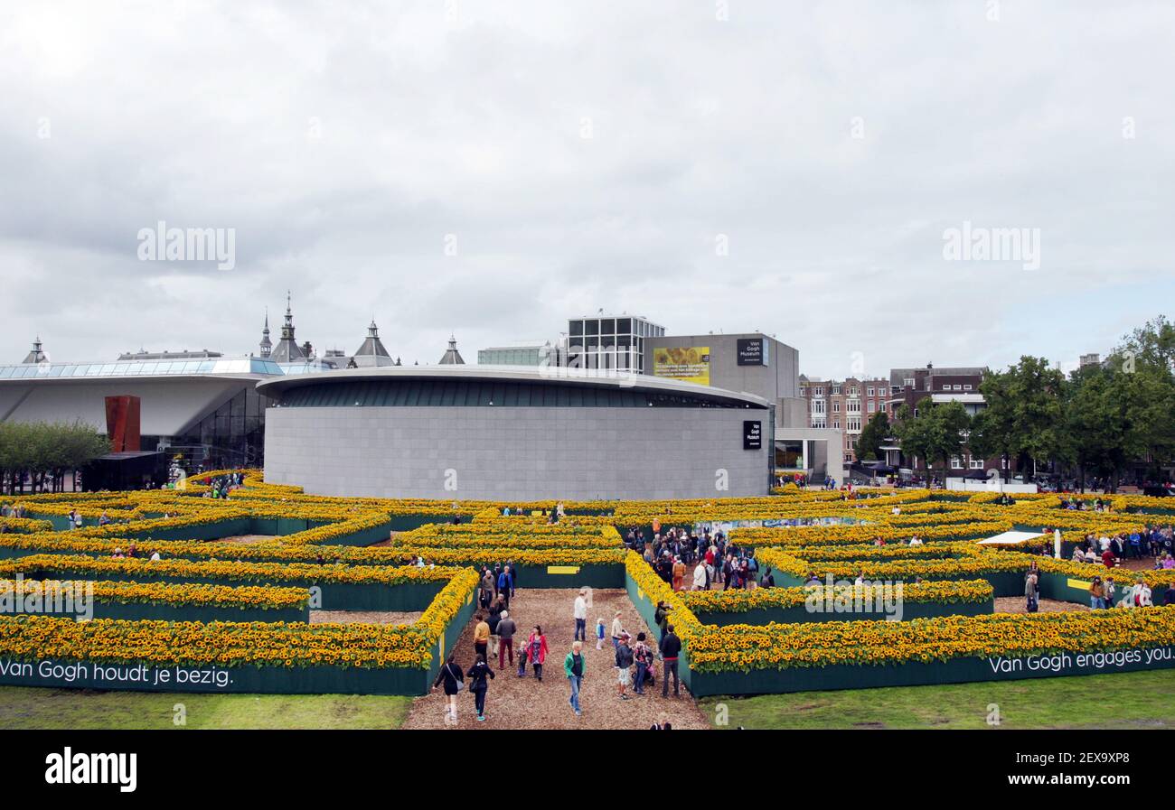 People walking at labyrinth with 125,000 sunflowers to mark the opening ...