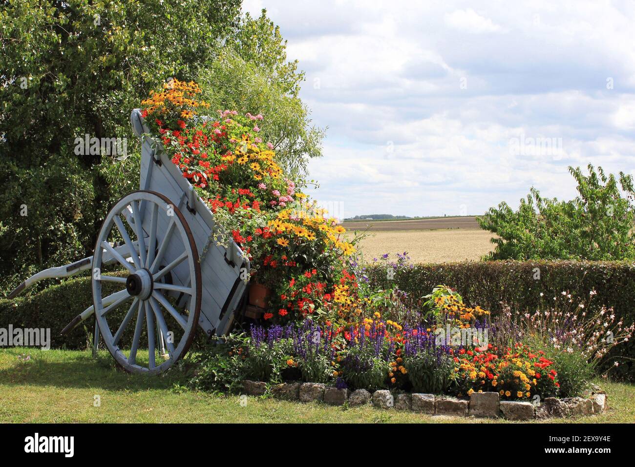 Cart corn farm hi-res stock photography and images - Alamy
