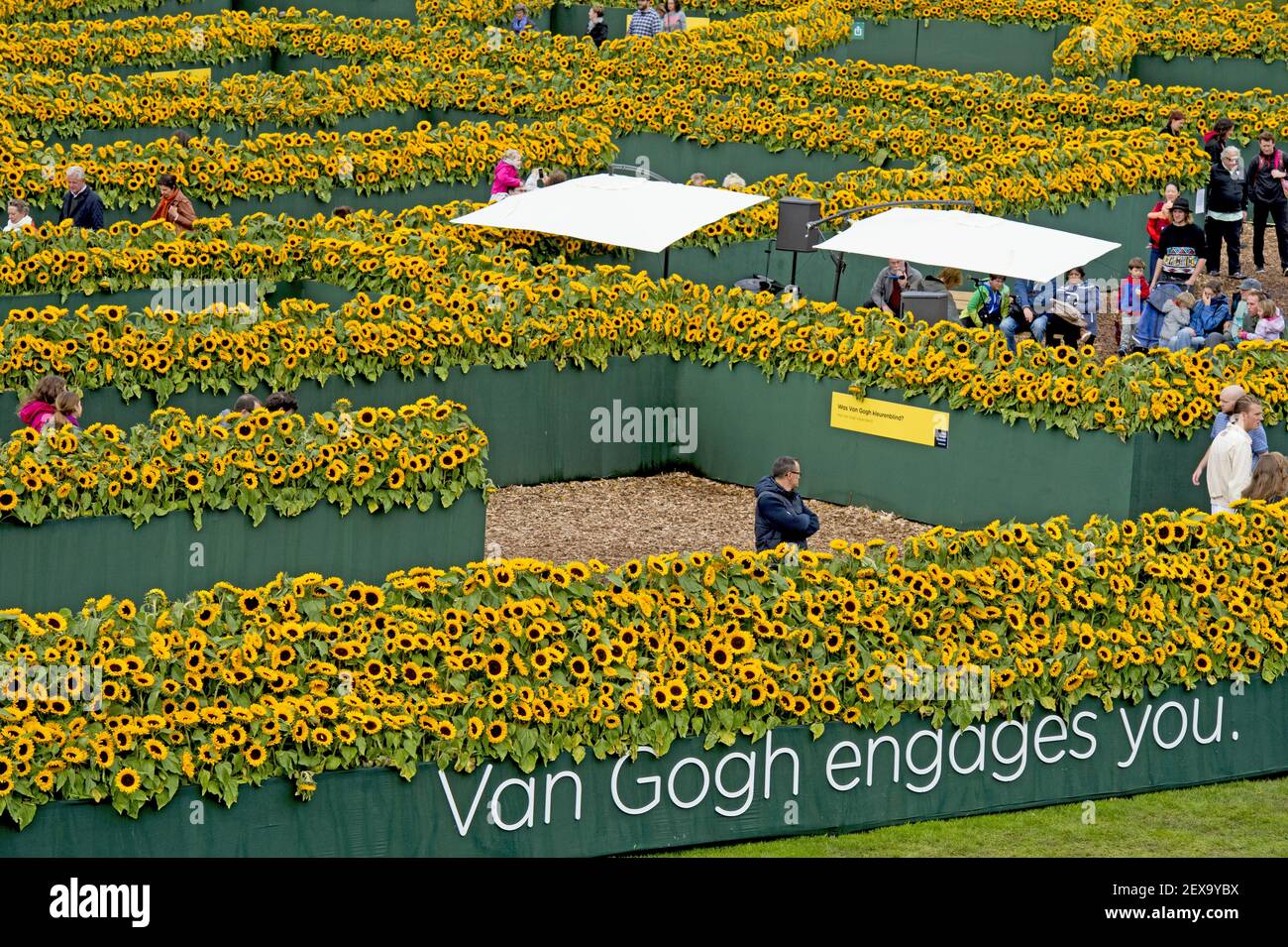 6-9-2015 AMSTERDAM - People tourists walk through a maze of sunflowers ...