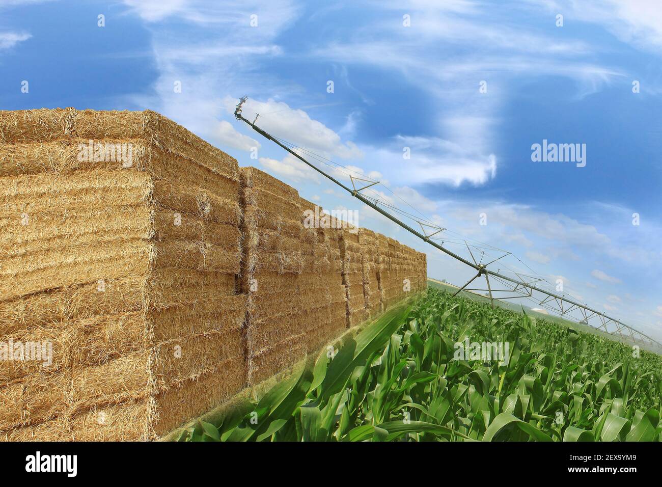 Layout for agriculture Stock Photo - Alamy