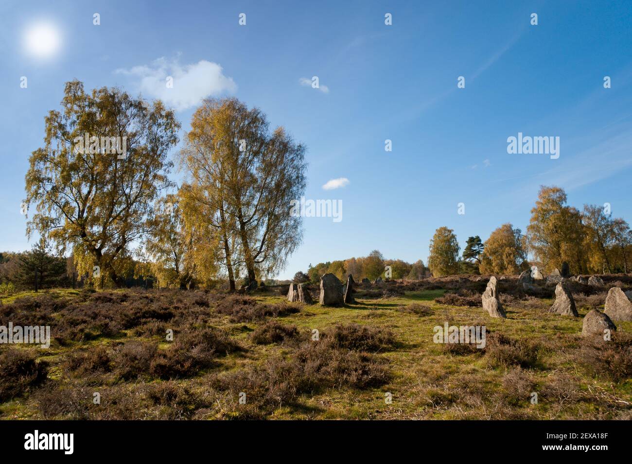 The VÃ¤tteryd grave field Stock Photo - Alamy