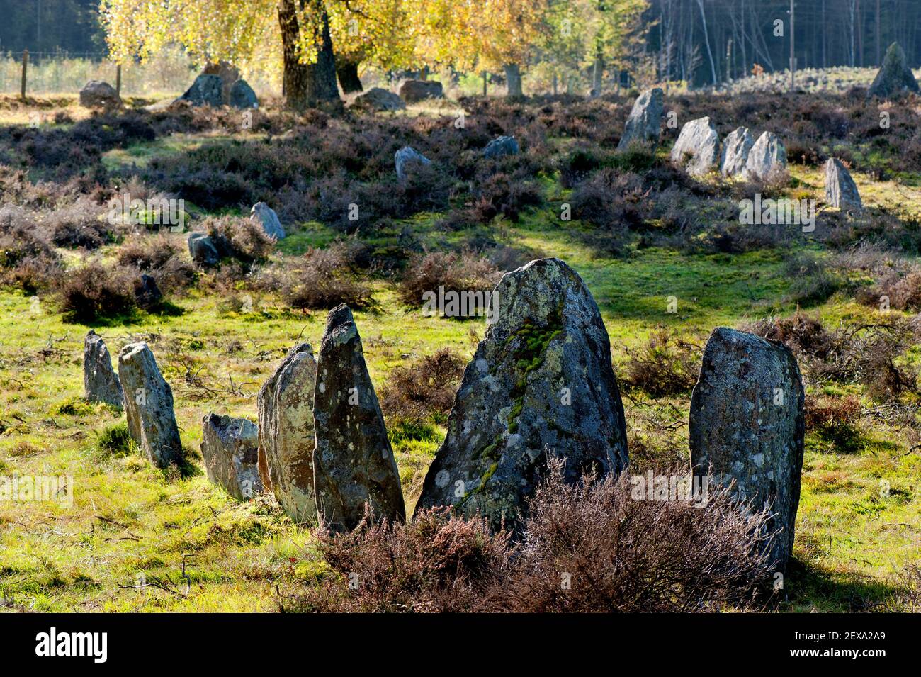 The VÃ¤tteryd grave field Stock Photo - Alamy