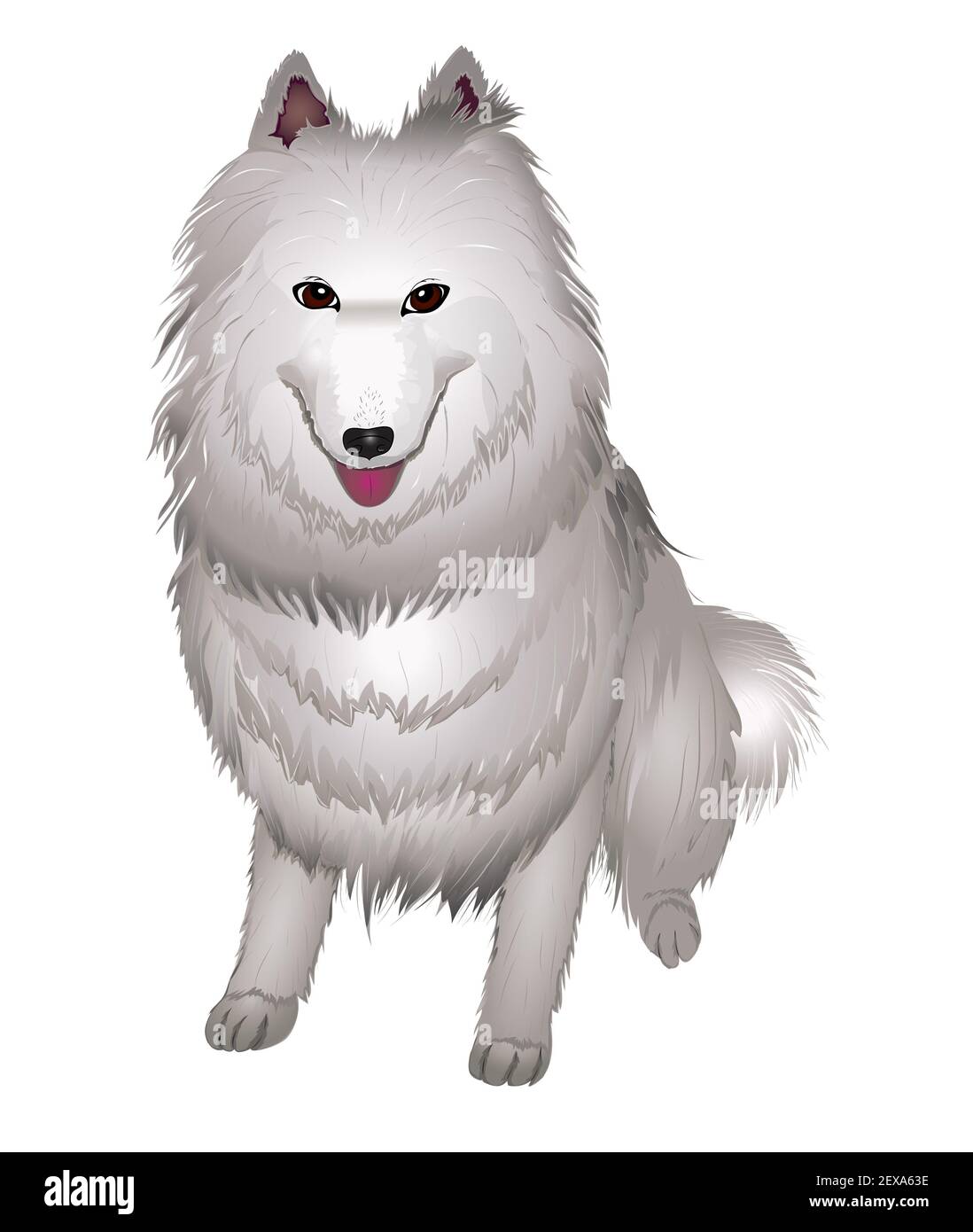White fluffy curly dog Cut Out Stock Images & Pictures - Alamy