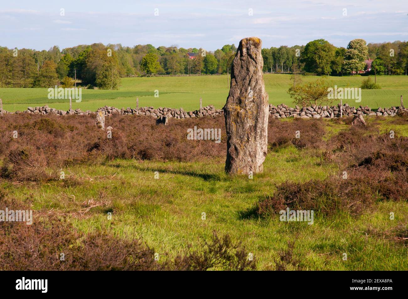 Field site visit hi-res stock photography and images - Alamy