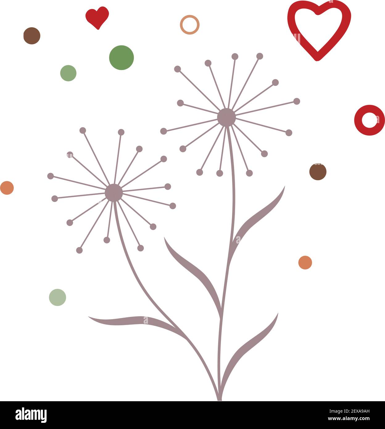 dandelion flower, vector Stock Vector Image & Art - Alamy