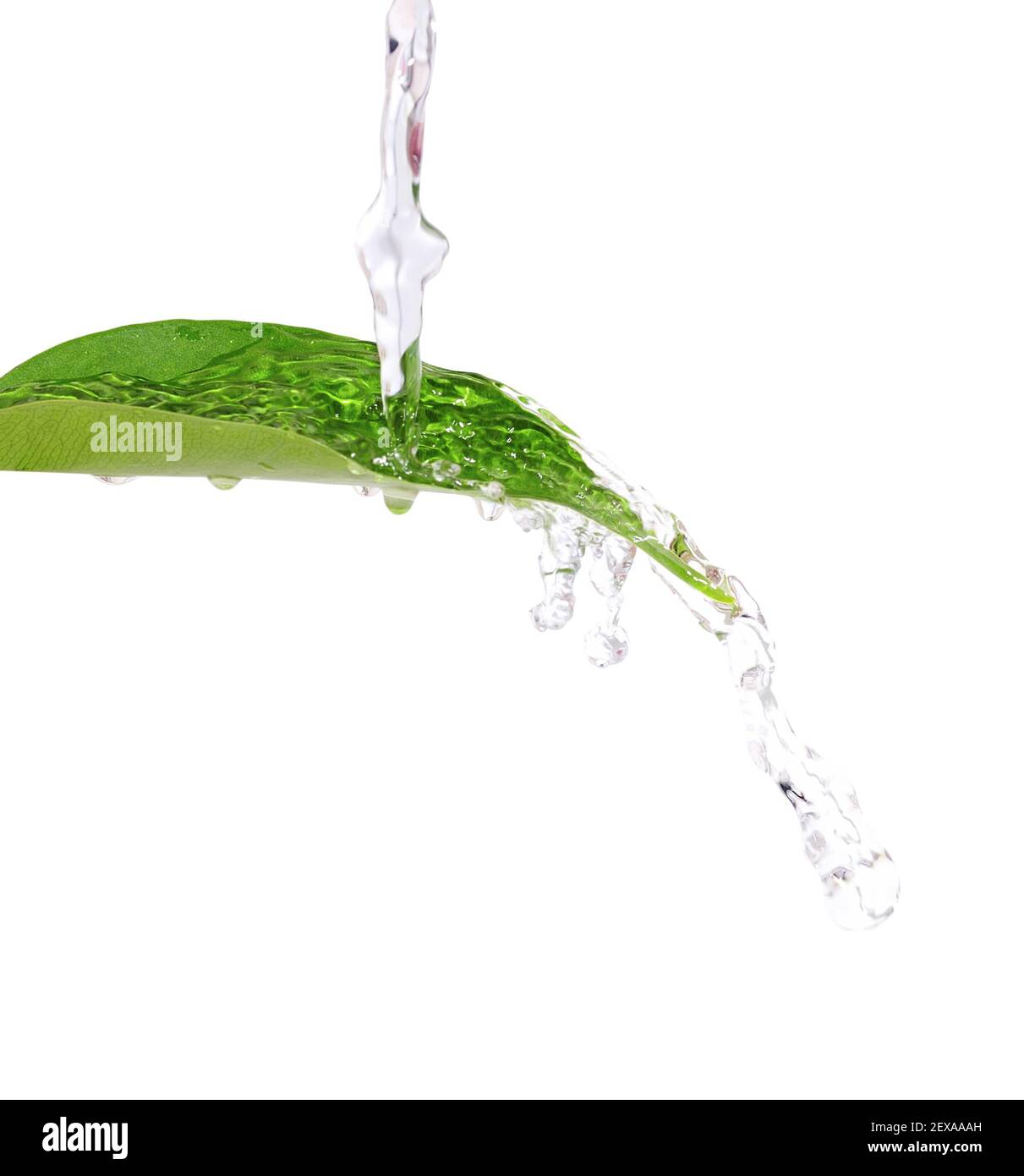 Flowing green grass Cut Out Stock Images & Pictures - Alamy