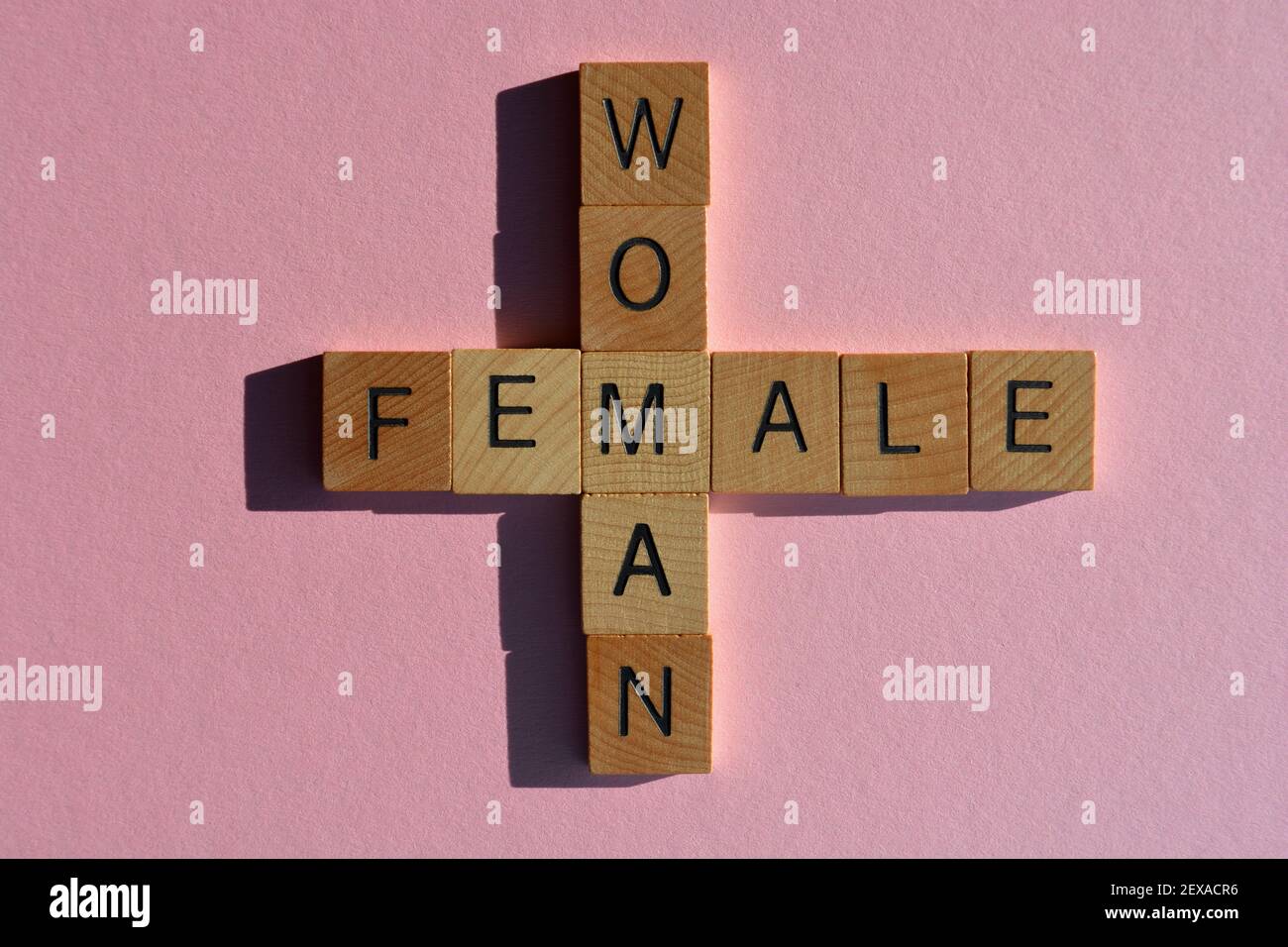 Woman, Female, words in wooden alphabet letters in crossword form ...