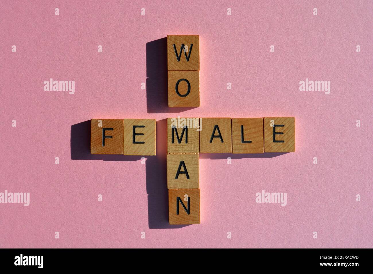 Woman, Man, Female, Male, words in wooden alphabet letters isolated on ...