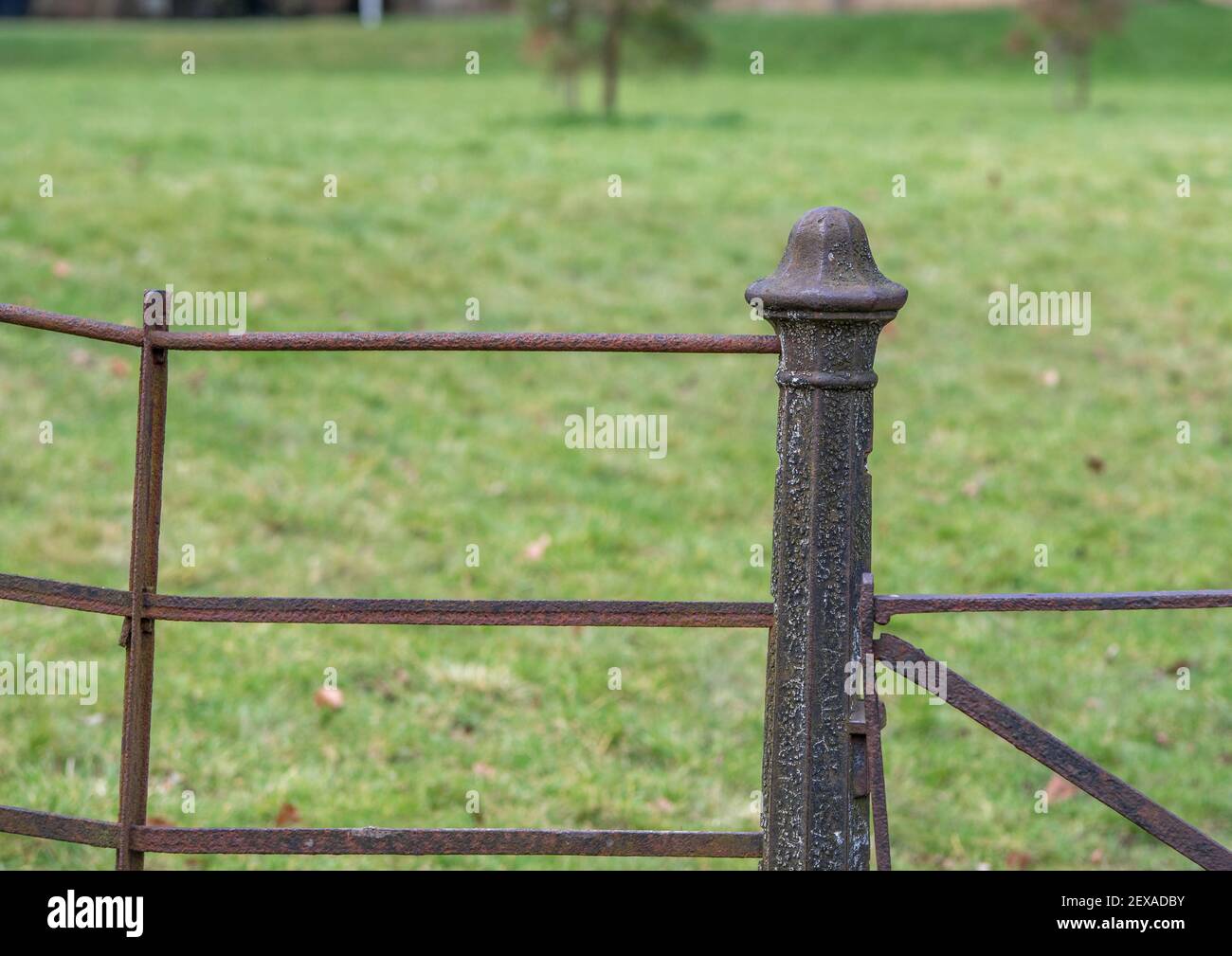 Victorian cast iron fence hi-res stock photography and images - Alamy