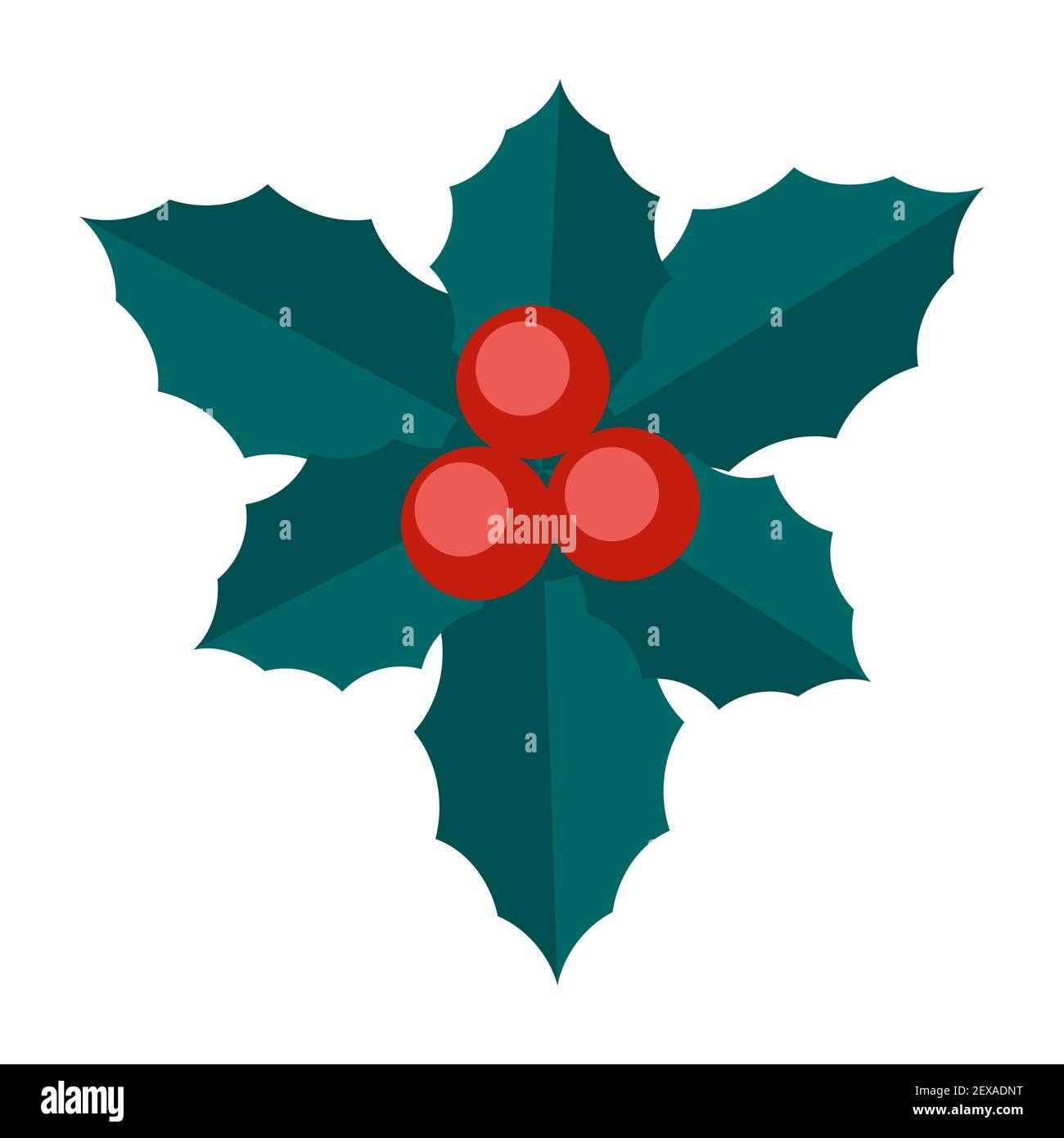 Mistletoe botanical illustration Stock Vector Images - Alamy