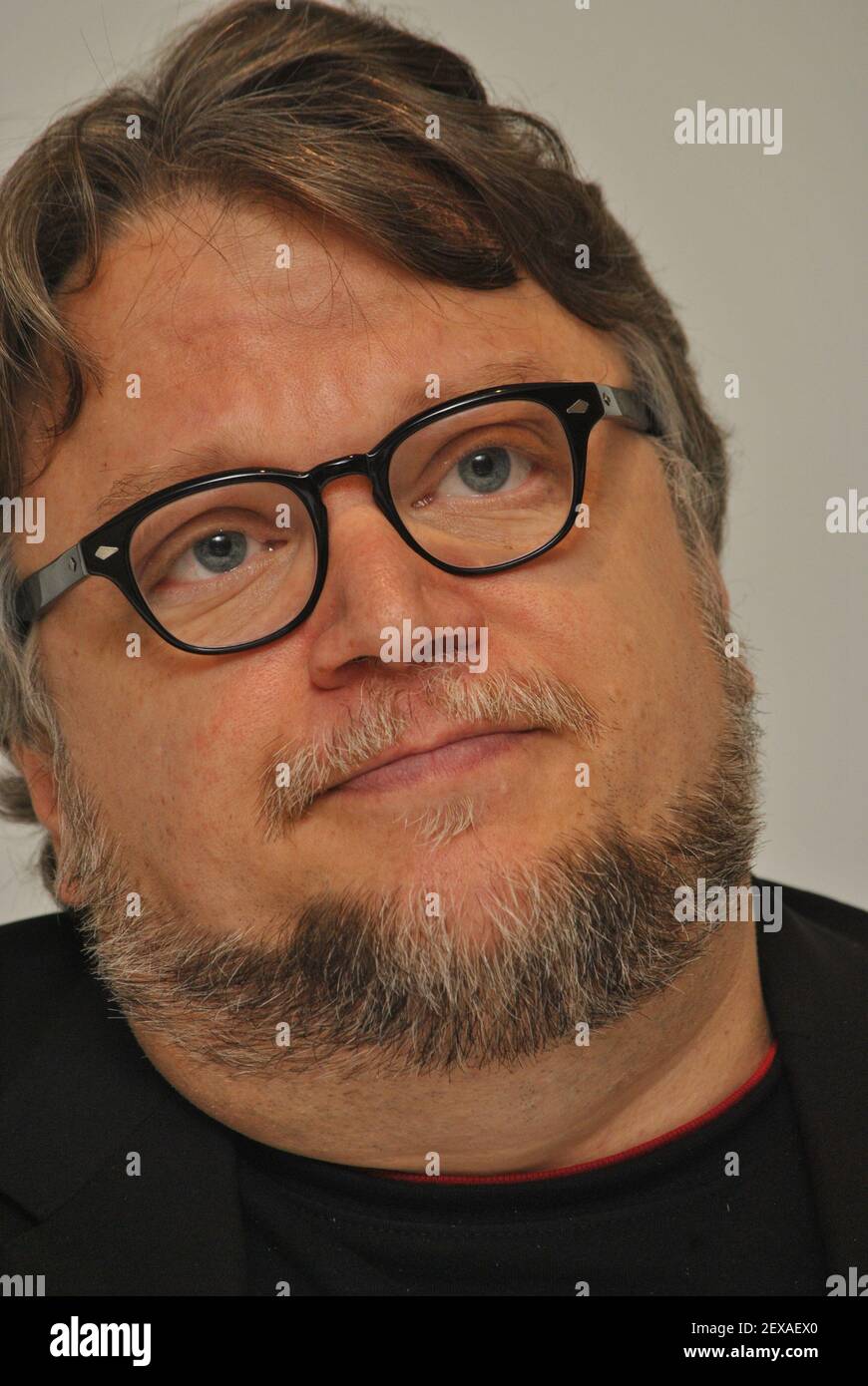 Guillermo del Toro, the writer and director, at the Hollywood Foreign ...