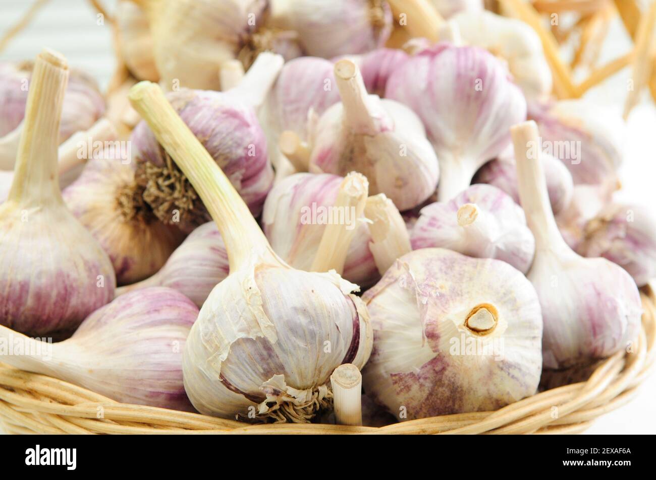 Garlic wreath hi-res stock photography and images - Alamy