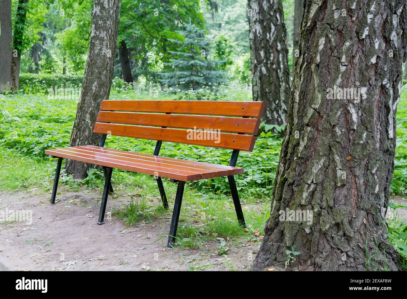 Russia. Moscow region. New wooden park bench Stock Photo - Alamy